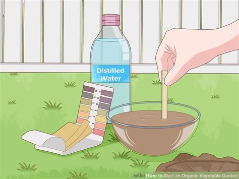 How To Start An Organic Vegetable Garden With Pictures Wikihow