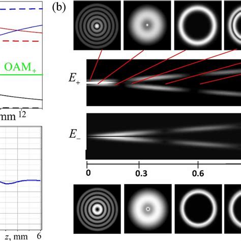 A The Spin Sam And Orbital Oam Angular Momenta For The Circularly Download Scientific