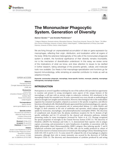Pdf The Mononuclear Phagocytic System Generation Of Diversity