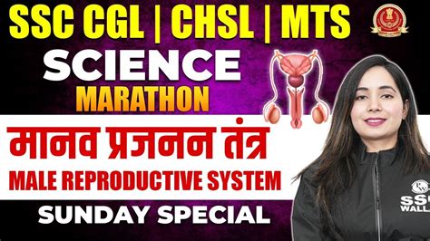 Male Reproductive System Science Marathon SSC CGL CHSL MTS