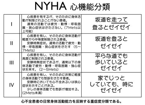 Nyhaの心機能分類とは？｜医学的見地から