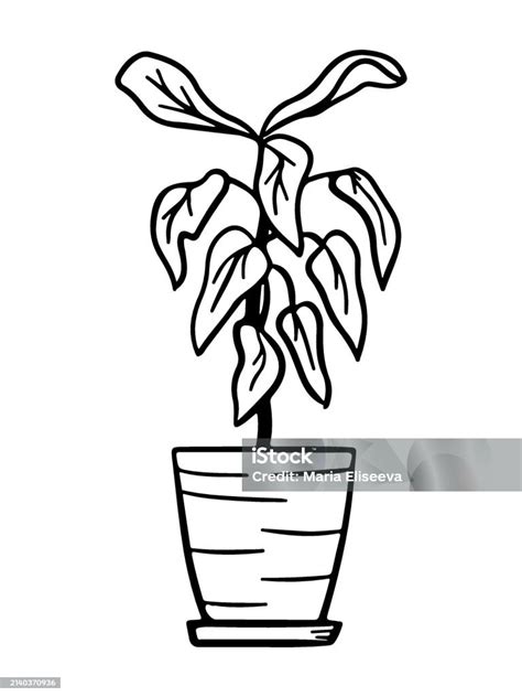 낙서 화분 벡터 윤곽선 아이콘입니다 장식용 화분에 심은 집 Ficus 스케치 그림은 인쇄 웹 모바일 및 흰색 배경에 고립 된