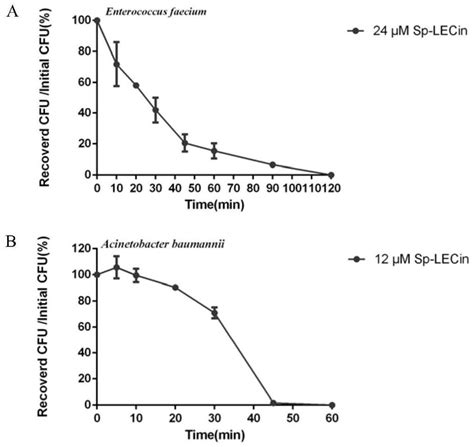 Scylla Paramamosain Antibacterial Polypeptide Sp Lecin And Application