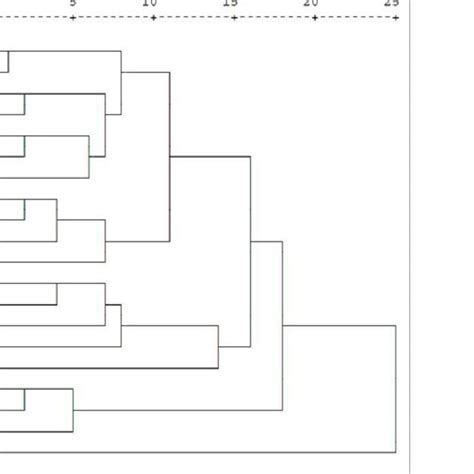 Dendrogramma Ottenuto Con Il Metodo Del Centroide Download