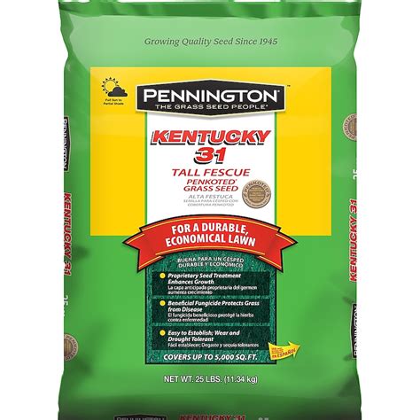 Pennington Kentucky 31 25 Lb Tall Fescue Grass Seed In The Grass Seed