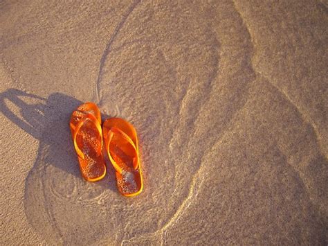 Ocean Pacific Flip Flop Ocean Pacific Flip Flop