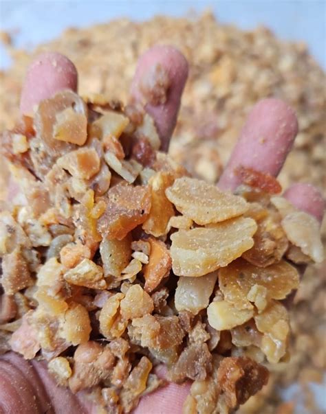 Hing At ₹ 20000kg Hing In Bhilwara Id 2851078456588