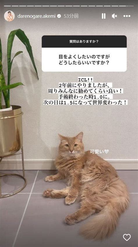 ダレノガレ明美、現在の体重公開 2年前の手術も明かす「世界変わった」 モデルプレス