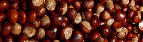 Whats The Point To Pair Programming Uk