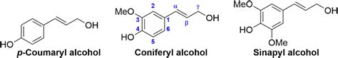 Functional Surfaces Films And Coatings With Lignin A Critical Review RSC Advances RSC