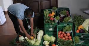 Cuál Es La Planta Rica En Vitamina C Que Contiene Sustancias Anticancerígenas Y Antidepresivas