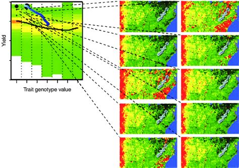Two Views Of Predicted Grain Yield Norms Of Reaction Emphasising 10