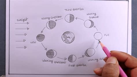 Moon Phase Diagram Worksheet