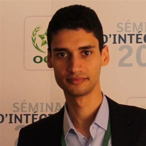 Majdalane Houssame Senior Information System Analyst Groupe Office