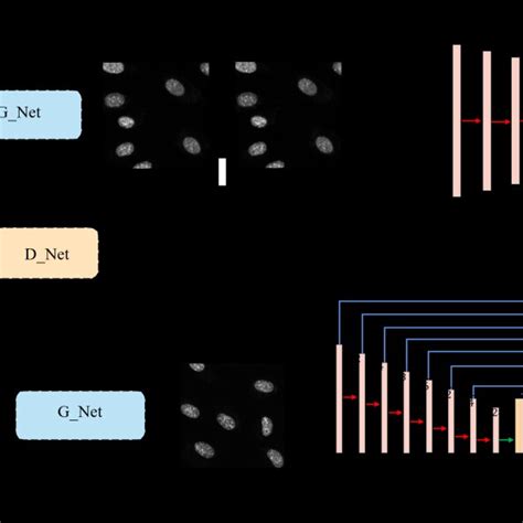 The Framework Of Cgan Model A The Training Phase Of Cgan The