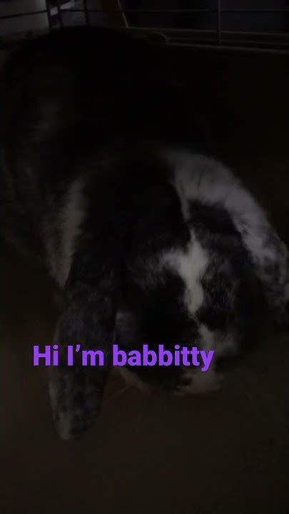 Babbitty Rabbity Youtube