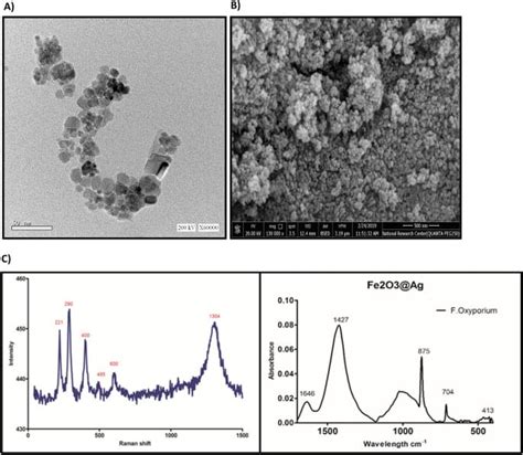 Production Of Novel Theranostic Nano Vector Based On Superparamagnetic Iron Oxide Nanoparticles