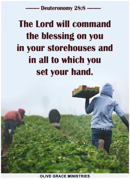 Deuteronomy 288 Daily Bible Verse Daily Bible Verse