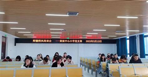 潜山市黄泥中心小学党支部召开政治理论学习暨师德师风培训会中国网