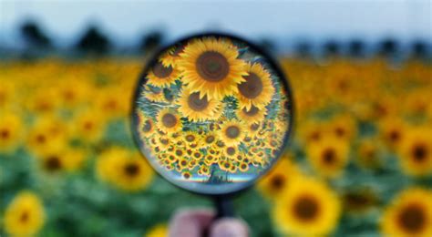 Windows パソコンのロック解除すると画面が拡大してる 元に戻す方法 LUCKLOG