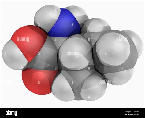 Isoleucine hi-res stock photography and images - Alamy