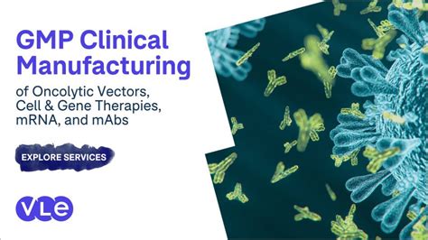 Our World Class Process Development Scientists And Gmp Teams Solve Any