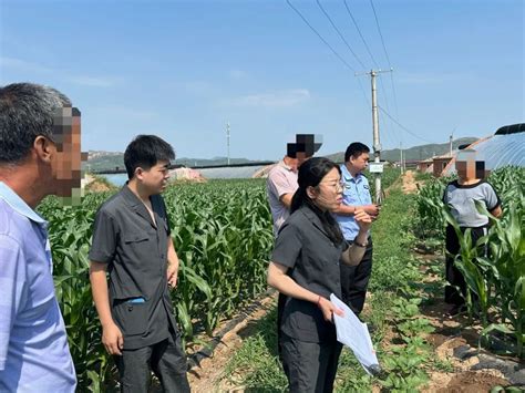 榆树林子法庭：法理融情，巧解纠纷显智慧澎湃号·政务澎湃新闻 The Paper