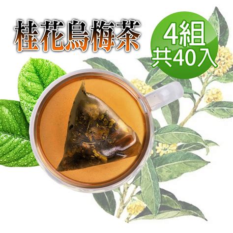 【蔘大王】桂花烏梅美顏茶包x4組6gx10入組解渴美妍茶包 可冷泡熱泡 油切解膩 輕盈靈活 Pchome 24h購物