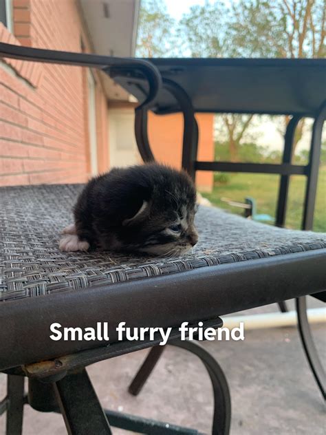 Overview For Synteclabs