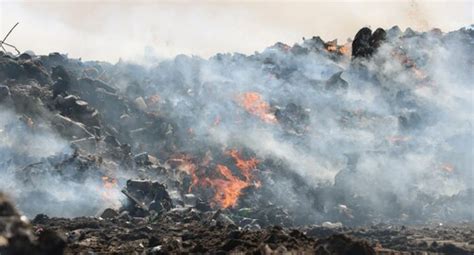 Окупанти завдали значні збитки довкіллю України Новини України РЕДПОСТ