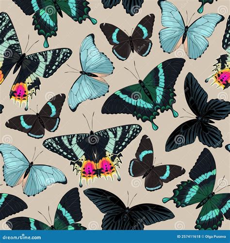 Vector Pattern With High Detailed Tropic Butterfly Stock Vector