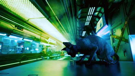 Sede Del Universo Cyberpunk 2077 Juegos Anime Y Más
