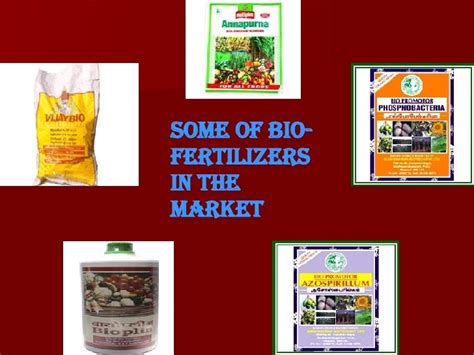 Biofertilizers