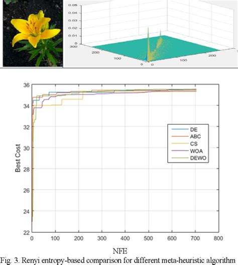 Figure 3 From Entropy Based Multilevel 2d Histogram Image Segmentation