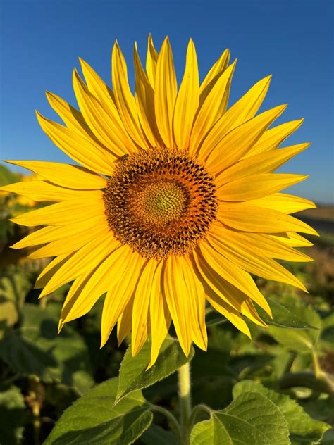 Franklin Bates On Linkedin Software React Node