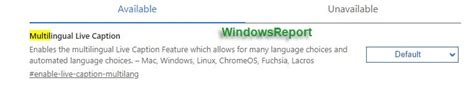 Chromes Live Caption On Desktop Gets Support For 11 More Languages