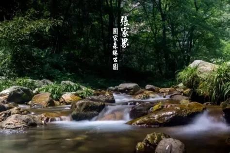 【湖南张家界 台州进出】惬意纵情山水间！一价全含，住五星酒店客栈，品尝特色美食！长沙
