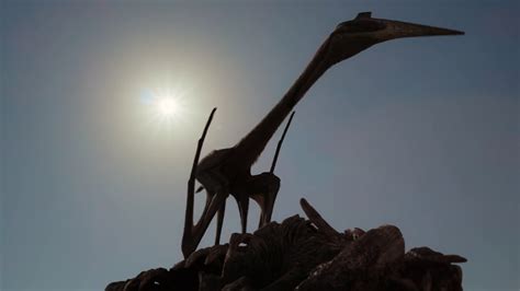 Azhdarchid