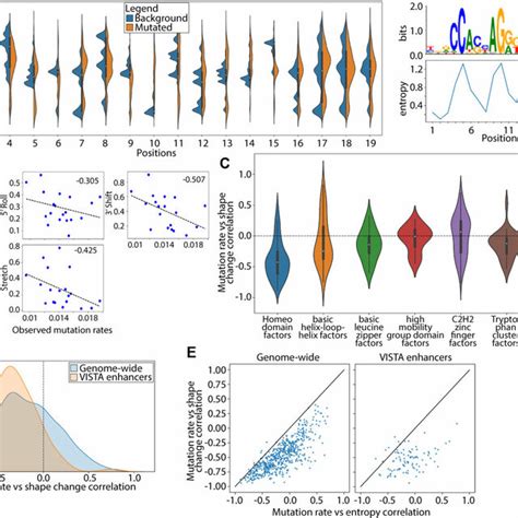 Decision Tree Based Classification Models Show High Accuracy And