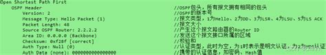 Ospf（open Shortest Path First，开放式最短路径优先）ospf开销一致的情况下优先逻辑接口吗 Csdn博客