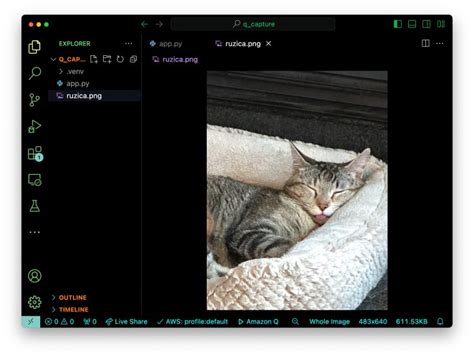 Aws Generativeai Claude Amazonbedrock Darko Mesaroš