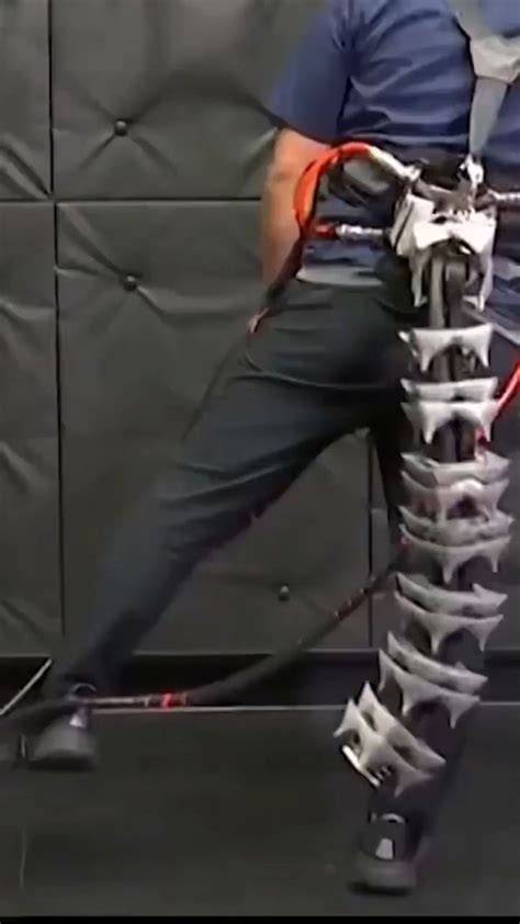 This Robotic Tail Is Designed For Humans Artofit
