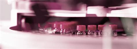 Shareholder Structure Labiana Group