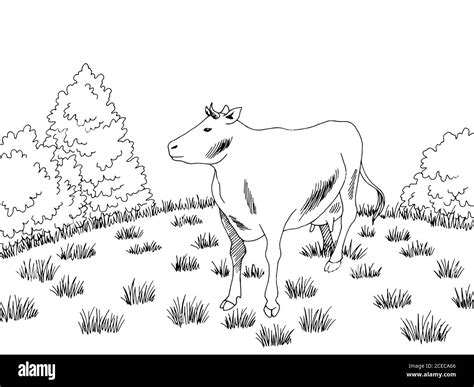 Cattle Farmland Stock Vector Images Alamy
