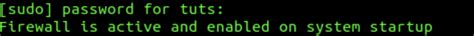 Ubuntu Mysql