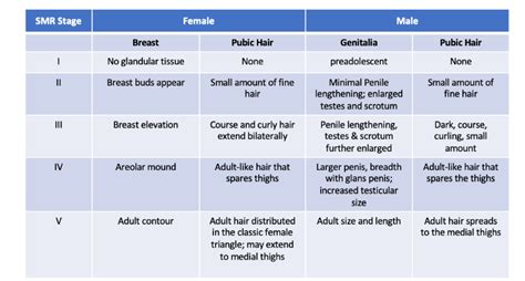 Puberty Stages 1500x1000