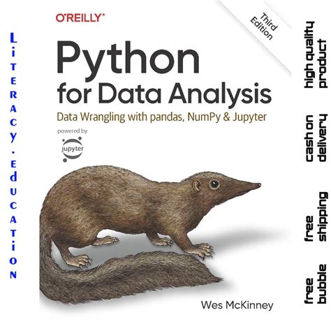 Jual Python For Data Analysis Third Edition Wes Mckinney Shopee Indonesia