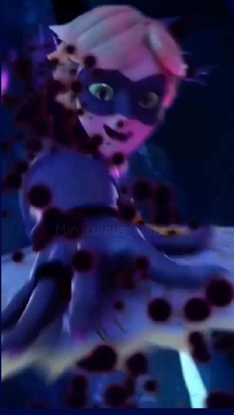 Miraculous Ladybug Miraculous Ladybug Funny Miraculous Ladybug Movie