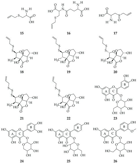 Compounds Obtained From A Sativum Leaf Extract Using Different Download Scientific Diagram