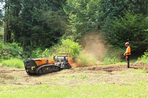 Seattle Area Brush Mulching
